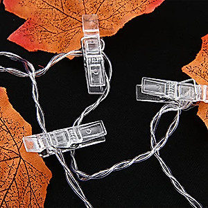 LOMIMOS Mini Clear Utility Plastic Clip,Clothespins for Paper Clothes Photo Small Card Message Sealed Bag,Pack of 100