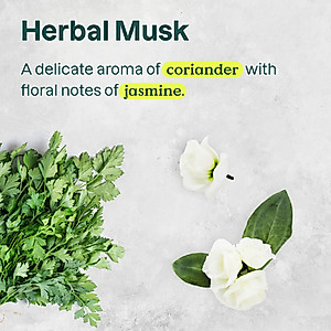 ATTITUDE Foaming Hand Soap, EWG Verified, Plant and Mineral-Based Ingredients, Vegan and Cruelty-free Personal Care Products, Herbal Musk, Bulk Refill, 35.2 Fl Oz