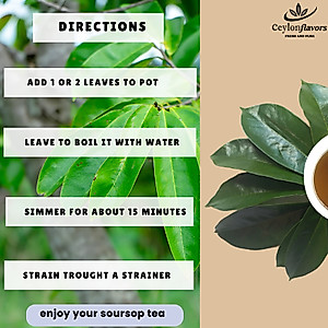 Dried Soursop Leaves From Ceylon Sri Lanka| 100 Leaves