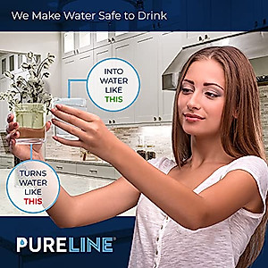 Pureline FXHTC 25 Micron 10" x 4.5" Replacement for GE FXHTC, GXWH40L, Culligan RFC-BBSA, W50PEHD, GXWH40L, GXWH35F, GNWH38S, DuPont WFHD13001, Pentair Pentek R50-BB, NSF 372 and NSF 42 (2 Pack)