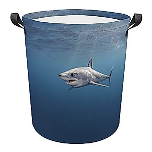 Shortfin Shark Under The Sea Large Laundry Basket Hamper Bag Washing with Handles for College Dorm Portable
