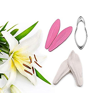 AK ART KITCHENWARE Lily Veining Mold Fondant Cutter Set Gum Paste Tools Cake Decorating Tools for Bakery Kitchen A351&VM067&VM005