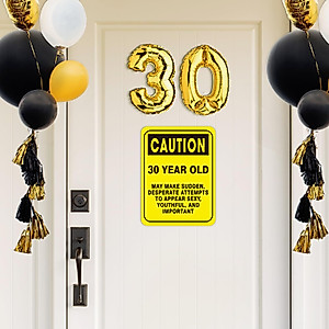 WERNNSAI Dirty 30th Birthday Decorations - 9 PCs 30 Birthday Decor for Him Her, 30 Years Old Garden Party Decor, Women Dirty 30 Picture Props Funny Table Centerpieces Men, 30s Door Windows Signs Wall Banner