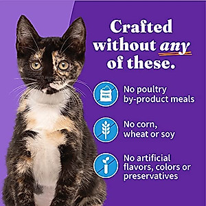 Halo Kitten Grain Free Wet Cat Food Pate, Whitefish Recipe, Healthy Cat Food with Real, Whole Whitefish, 3oz Can (Pack of 12)(Packaging May Vary)
