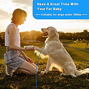 HaiYUAN Dog Tie Out Cable 10/15/20/25/30FT Dog Runner for Yard Steel Wire Dog Cable with Durable Superior Clips Purple Dog Chains for Outside Dog Lead for Large Dogs Up to 165 lbs