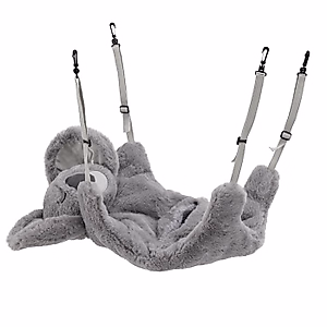 EveryYay Hangin' Around Koala Bear Ferret Hammock, 19" L X 14" W X 3.5" H