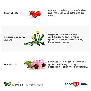 Cranberry for Dogs and Cats - Urinary Tract Support, Cat UTI, Bladder Support, Dog UTI, Bladder Stones and Incontinence Support