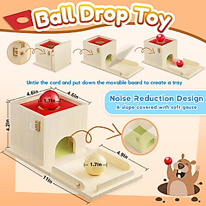 Yehtta 4 in 1 Educational Montessori Toys for 1 2 Year Old, Include Object Permanence Box, Magnetic Worm Game, Carrot Harvest Toy, Coin Drop Toy, Developmental Montessori Toys for Babies 6-12 Month