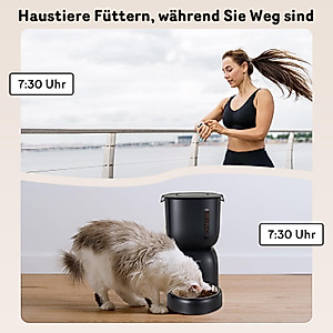 Automatic Cat Feeder and Cat Water Dispenser FW1, Wire or Battery Cat Food Dispenser Timer Pet Feeder - Locking Lid, Desiccant Bag, Programmable Portion Control, 4 Daily Meals, 10s Voice Recorder