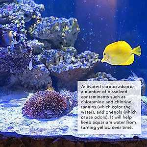 Austin Environmental Systems GRANULAR Activated Carbon(Charcoal) Multipurpose 0.52lbs (237g) Made in USA