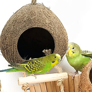Bird Coconut Hides Nest with Ladder Parrot Cage Hanging Natural Coco Shell Hut Hide Toy with Wooden Bridge Hollow Hideaway Toys for Parakeet Lovebird Finch Canary 2PCS