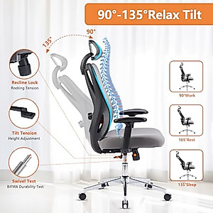 Office Chair, Desk Chair Ergonomic Office Chair - High Back Desk Chair, Computer Mesh Chair with Lumbar Support, Adjustable Headrest & 2D Armrest, Tilt Function Swivel Executive Chair for Office