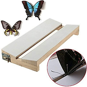 Insect Butterfly Spreading Board Solid Wood Adjustable Mounting Spreading Board