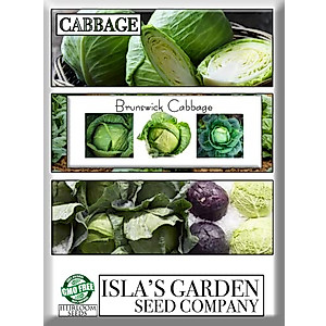 Brunswick Cabbage Seeds for Planting, 300+ Heirloom Seeds Per Packet, (Isla's Garden Seeds), Non GMO Seeds, Botanical Name: Brassica oleracea, Great Home Garden Gift
