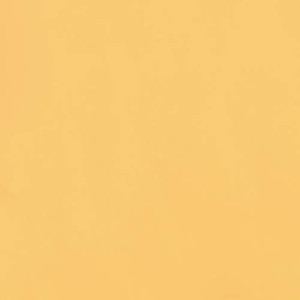 Martha Stewart Paint & Primer 8oz Spray Paint, 8 Ounce (Pack of 1), Neon Gloss Orange Soda 8 Fl Oz