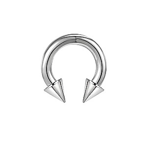 ZS Surgical Steel Spiked Horseshoe Circular Barbell, 00G 0G 2G 4G 6G 8G 12G 16G PA Rings, CBR Nose Septum Nipple Tragus Lip Ear Body Piercing Jewelry (Sliver,6G,16mm)