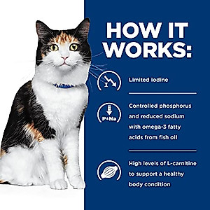 Hill's Prescription Diet y/d Thyroid Care Dry Cat Food, Veterinary Diet, 4 lb. Bag