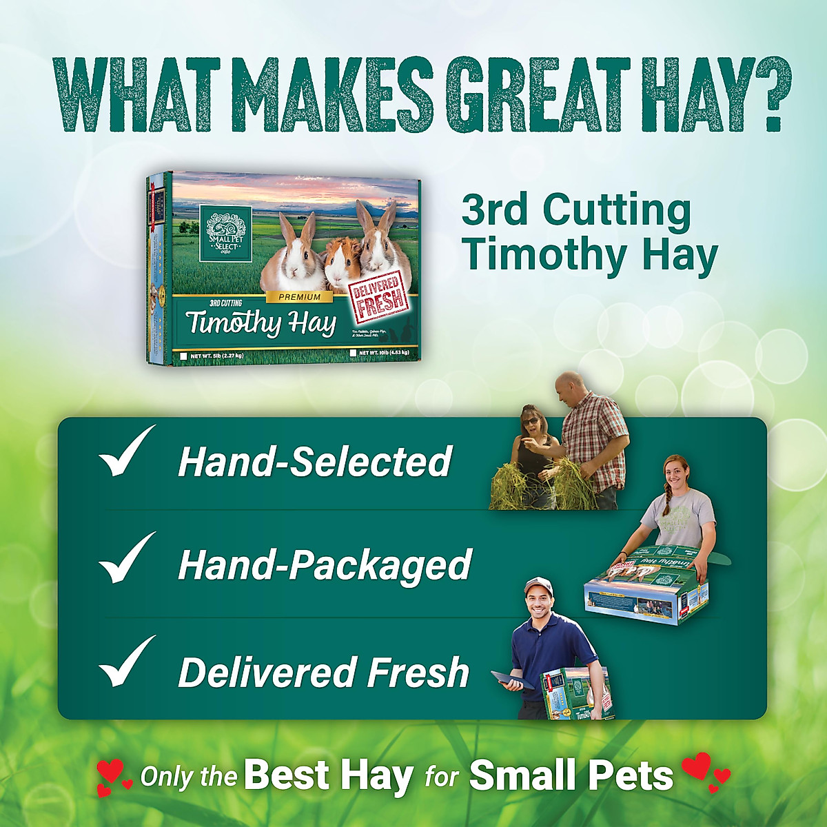 Small Pet Select 3rd Cutting Super Soft Timothy Hay Pet Food for Picky Eaters, Rabbits, Guinea Pigs, and Other Small Animals, Easy to Store Box, 40 LB