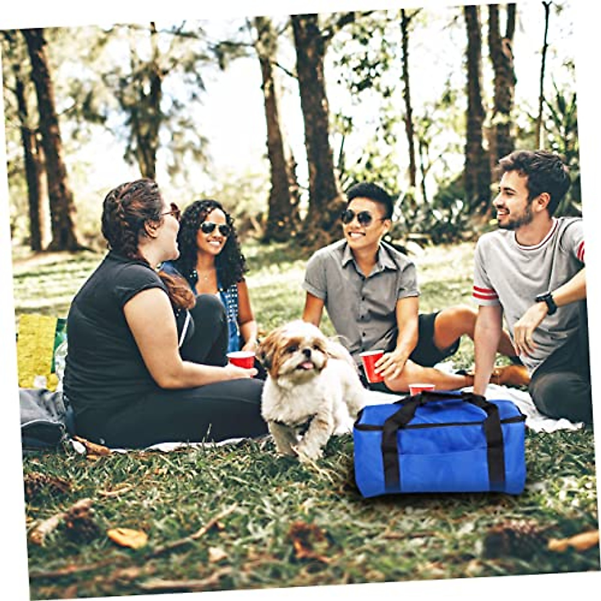 CANIGHT Insulated Bag Food Coffee Container Foldable Picnic Basket Foldable Basket Insulation Thermal Bag Lunch Insulated Basket Insulated Shopping Bags Pizza Bag Cake Containers Blue