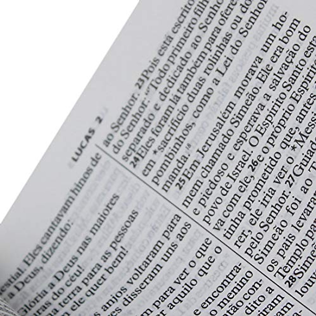 Bíblia Sagrada Letra Grande - Preta - SBB