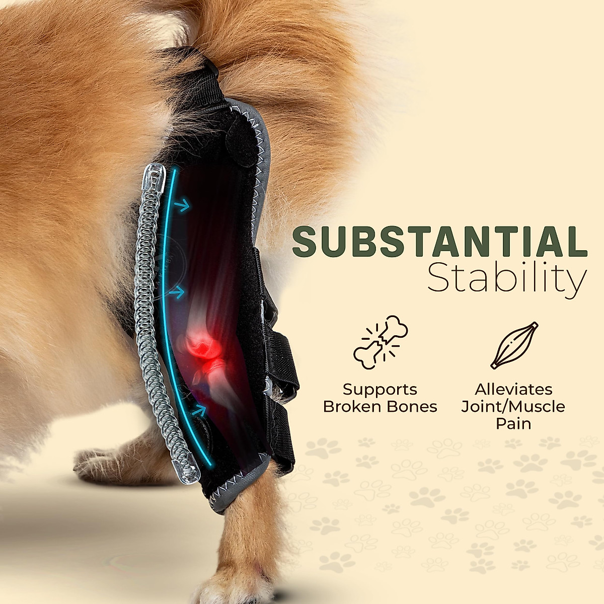 LA KALBA Dog Knee Brace for Torn Acl Hind Leg - Neoprene Dog Leg Braces for Back Leg with Aluminium Splints, ACL Knee Brace for Dogs with Reflective Trims (Left Leg - Small)
