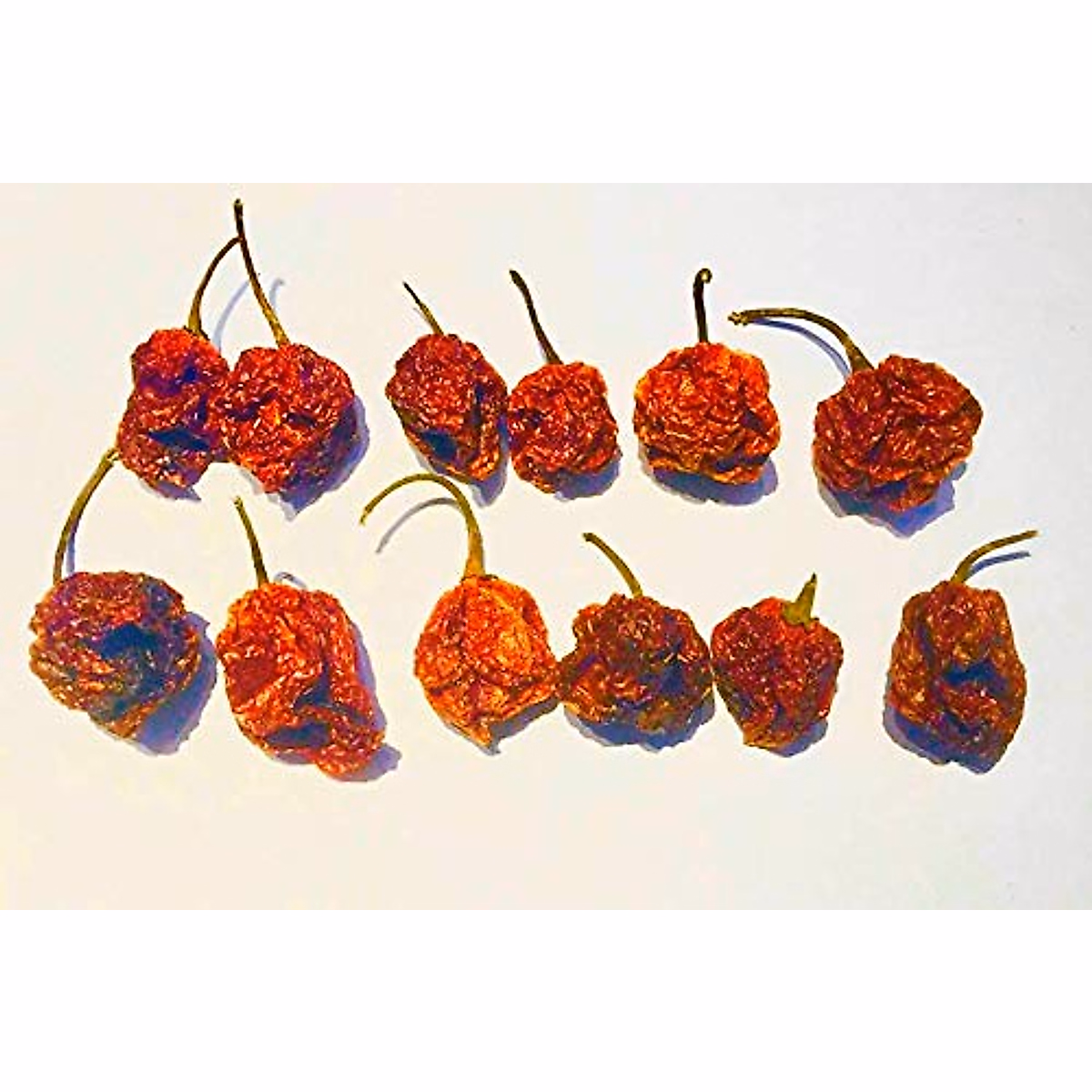 Wicked Reaper Wicked Tickle Carolina Reaper Chili Peppers World's Hottest Dried Spice 10 Pack +2 Free