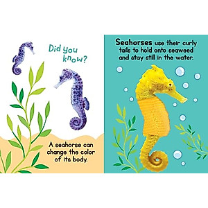 Ocean Friends - Touch and Feel Board Book - Sensory Board Book