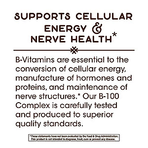 Nature's Way Vitamin B-100 Complex Capsule