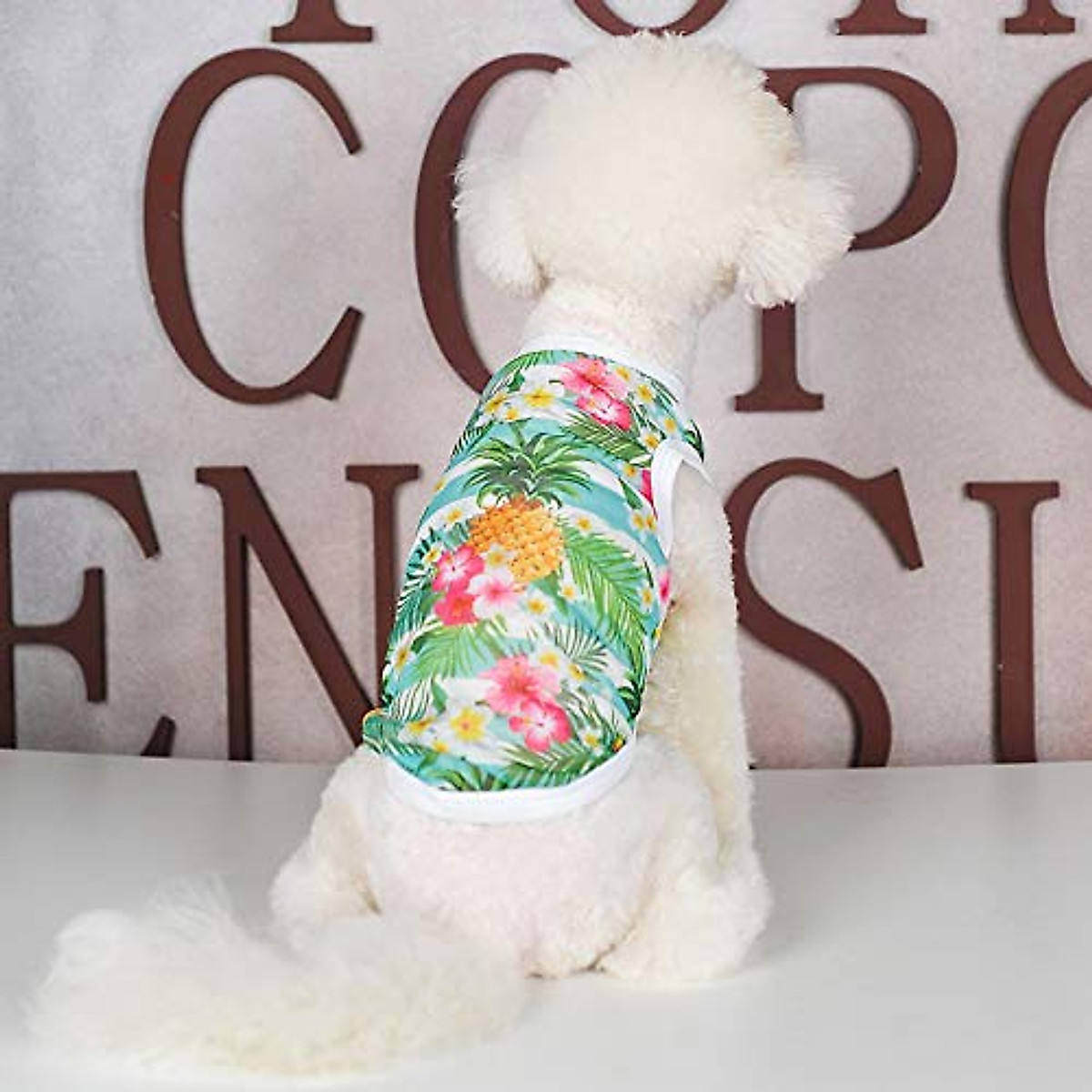 SMALLLEE_LUCKY_STORE Dog Hawaiian Shirt Pet Cat Summer Sleeveless T Shirt Quick Dry Cool Mesh Vest Boy Girl Small Dog Clothes,Pineapple Print,Size M