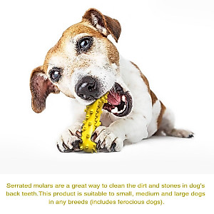 Durable Squeaky Dog Toys for Aggressive Chewers, Tough Rubber Dental Chew Dog Toys for Large Medium Small Breed (Color : Blue)