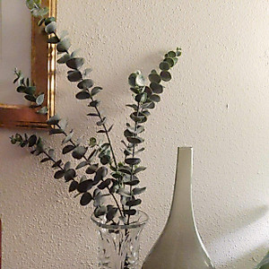 Ollain 5 Pcs Artificial Eucalyptus Greenery Stems Plants 29.5" Tall Fake Eucalyptus Leaves Spray Silver Dollar Eucalyptus Branches Plant for Home Garden Office Store Decoration