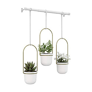 Umbra 1011748-524 Triflora Hanging Planters for Indoor Plants or Herbs, White/Brass,42" Width