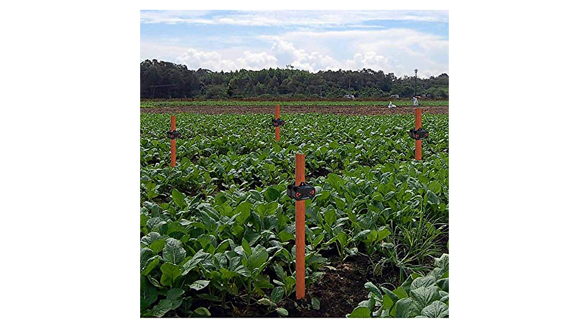 Lycoming Solar Predator Control Light - Effective Coyote Repellent