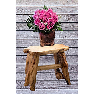 TJ Global Natural Edge Cedar Wood Tree Stump Indoor/Outdoor Stool, Garden Bench, Night Stand, End Table, Plant Stand - L20 x W11 x H17
