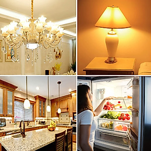 Upgraded LED Refrigerator Bulb for Frigidaire Kenmore Whirlpool Refrigerator Freezer, Refrigerator Parts & Accessories Cool White 6000K Replacement 40W Halogen Bulbs, No Flicker, 3 Watt 125V, 1 Pack