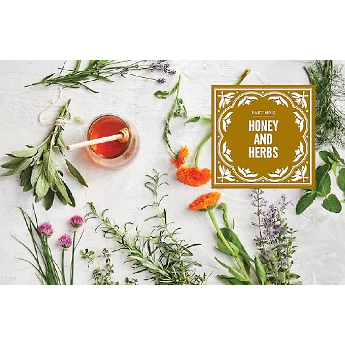 Sweet Remedies: Healing Herbal Honeys