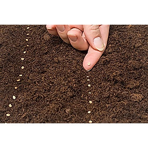 300+ Tomatoes Seeds for Planting, 6 Variety Pack Heirloom Non-GMO Small Cherry Tomato, Golden Jubilee, Black Tomato, Yellow Pear, Roma Tomato, Beefsteak Slicing Tomato