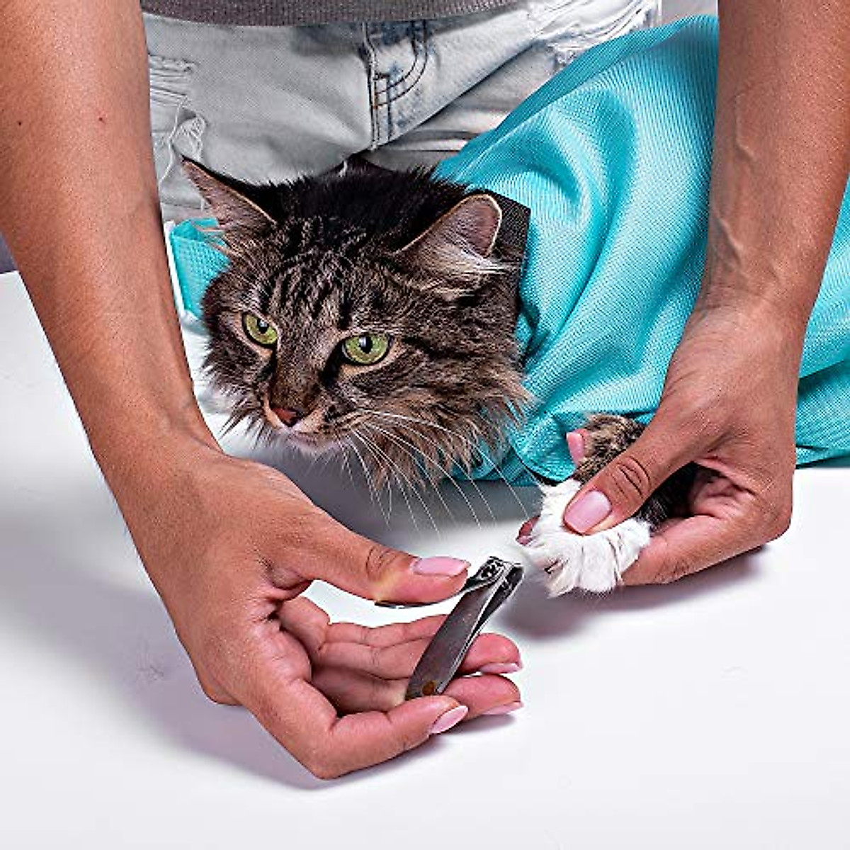 PURRFECT POUCH The Original AS SEEN ON TV. Comfy Soothing Cat Carrier