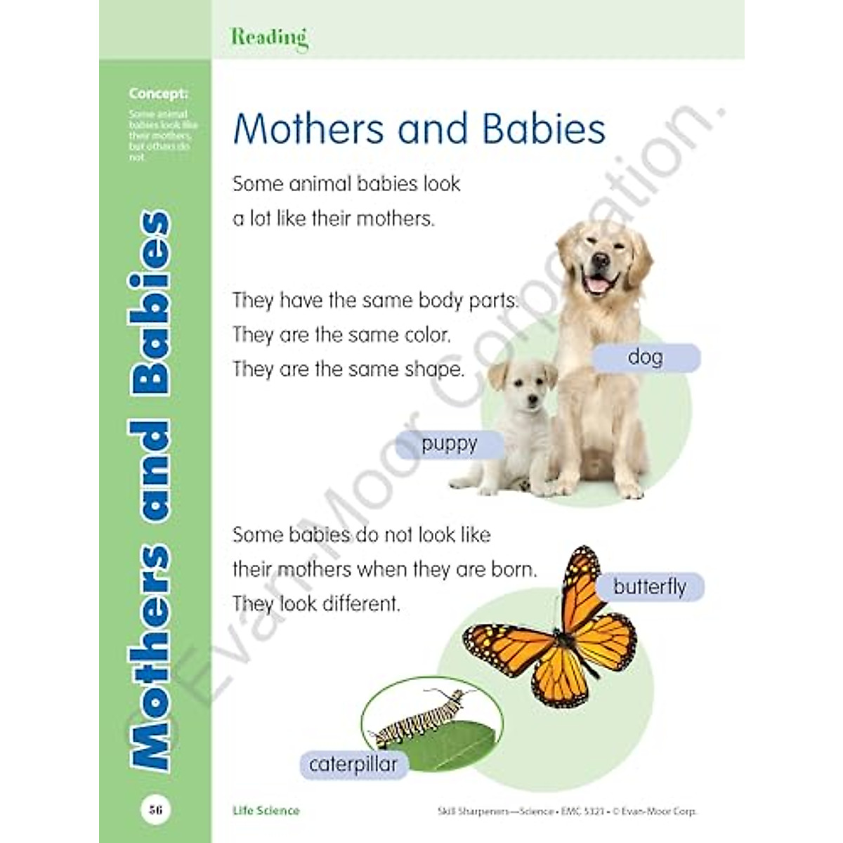 Evan-Moor Skill Sharpeners Science Workbook, Grade 1, Physical, Life, and Earth Science, Songs, Activities, Space, Animals and Eggs, Plants, Habitats, Recycling, Weather, Technology, Homeschool