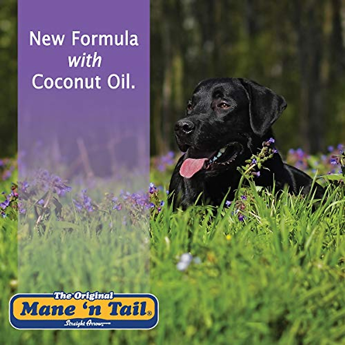 Mane 'n Tail New Ultimate Gloss Shampoo 32oz