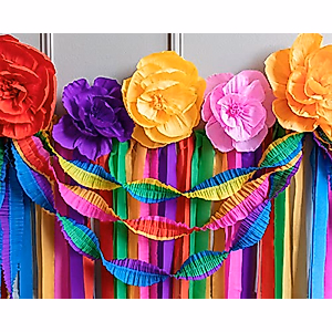 Riles & Bash Fiesta Streamer Backdrop with Crepe Paper Flowers and Ruffled Streamers (Fiesta)