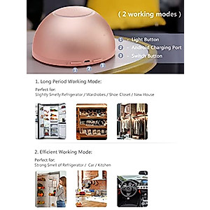 Refrigerator Deodorizer, Perfect for Refrigerators, Cars, Pet Rooms, Shoe Cabinets, Wardrobes (PINK)