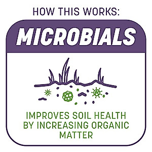 Pennington Smart Patch Dense Shade Mix Jug 5 lb