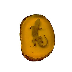 Garneck Amber Fossil Insect,Artificial Amber Insect Specimen Pendant Butterfly Scorpions Insects Amber Stone Ornament for Collection(Gecko)