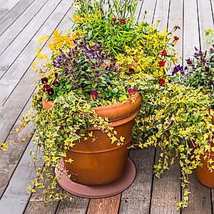 LapWorks 12 inch Rotating Plant Swivel Stand and Bonsai Turntable - Heavy-Duty Lazy Susan Base for Indoor & Outdoor Potted Plants, Gardening, and Sunlight Management (Tuscan Terra Cotta)