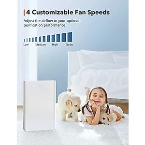 HEPA H13 Air Purifier for Home, Allergies Smoke Pollen Pets, Home Air Cleaner Filtration System, Odors Dust, Sleep Mode Timer Auto Mode