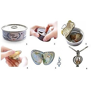 Pearlina Sterling Silver Heart Cage Locket Necklace Cultured Wish Pearl in Oyster Set, 18"