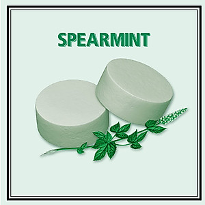 Altoids Spearmint Mints, 1.76 ounce (12 Packs)