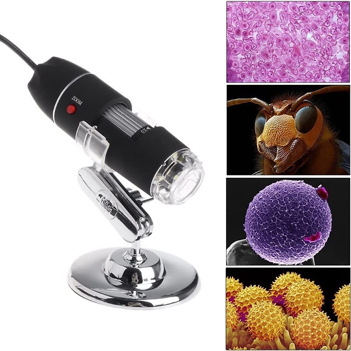 Handheld Digital Microscope Accessories 1600X 2MP Zoom Microscope 8 LED USB Magnifier Camera Microscope Accessories