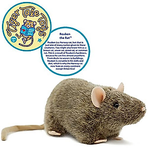 VIAHART Reuben The Rat - 7 Inch Stuffed Animal Plush Mouse - by Tiger Tale Toys